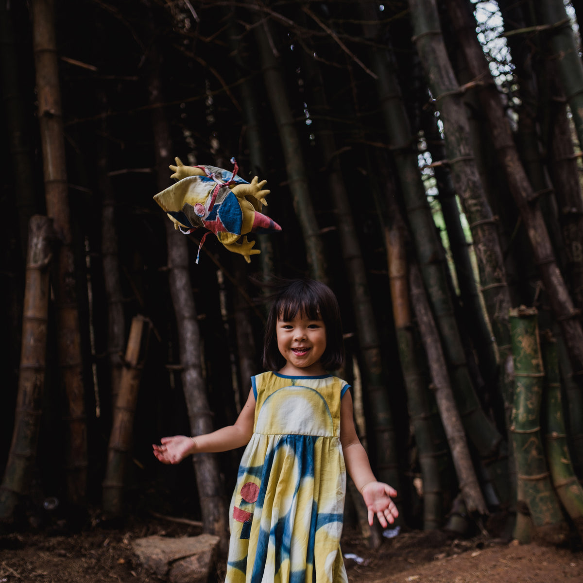 The Cane Turtle — Muuyee